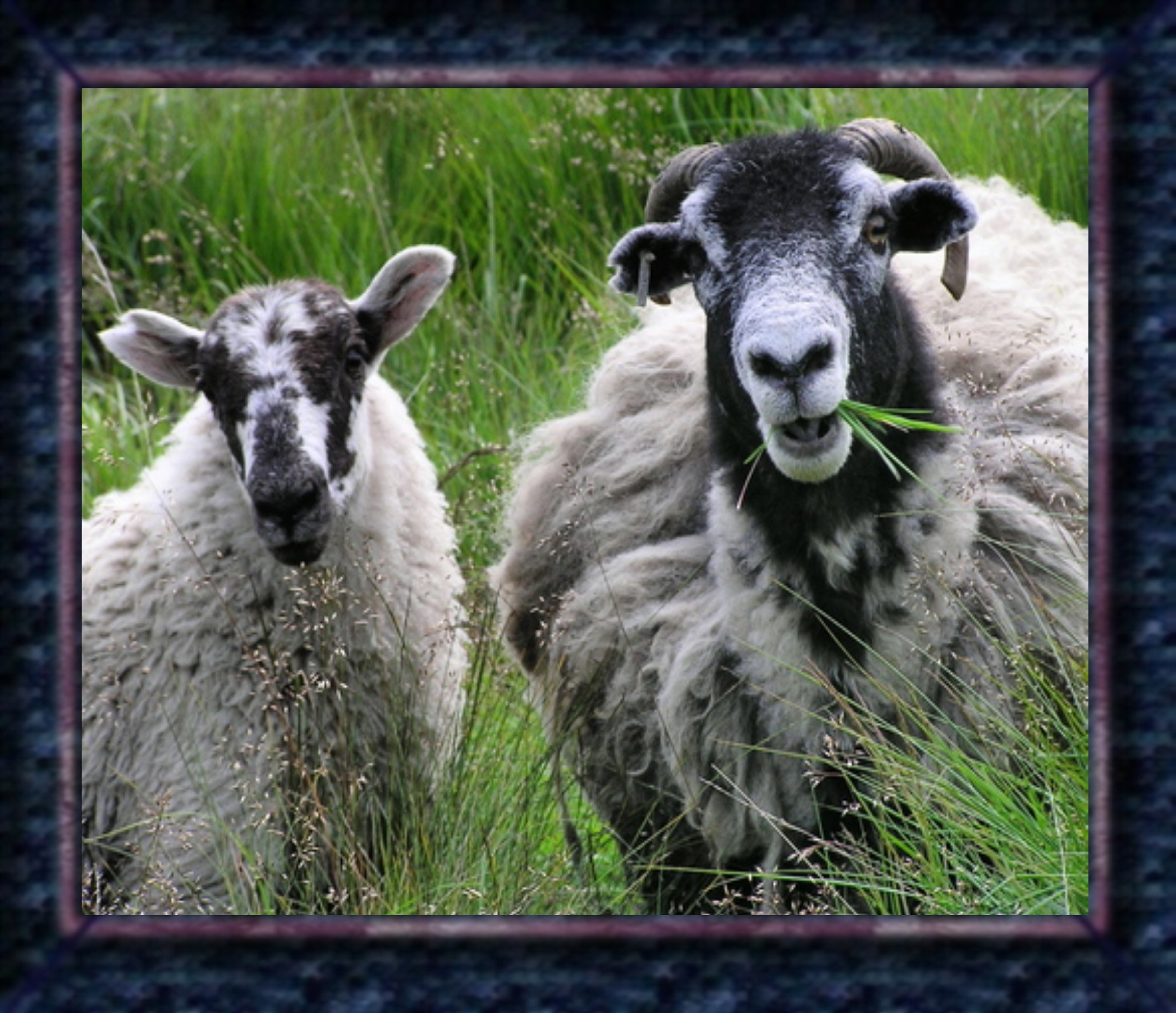 From The Lips Of Jesus